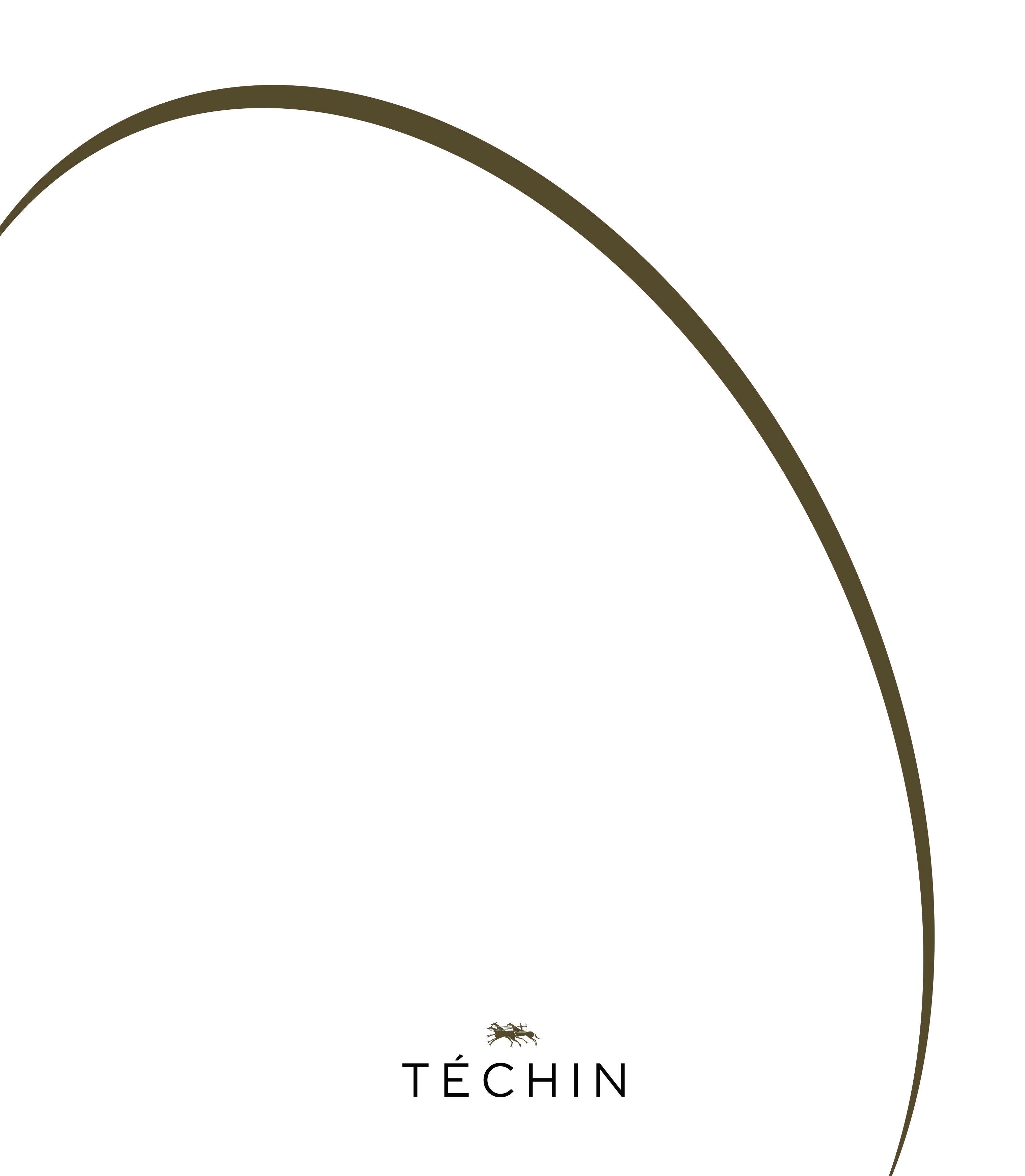 TECHIN eGift Card – Téchin
